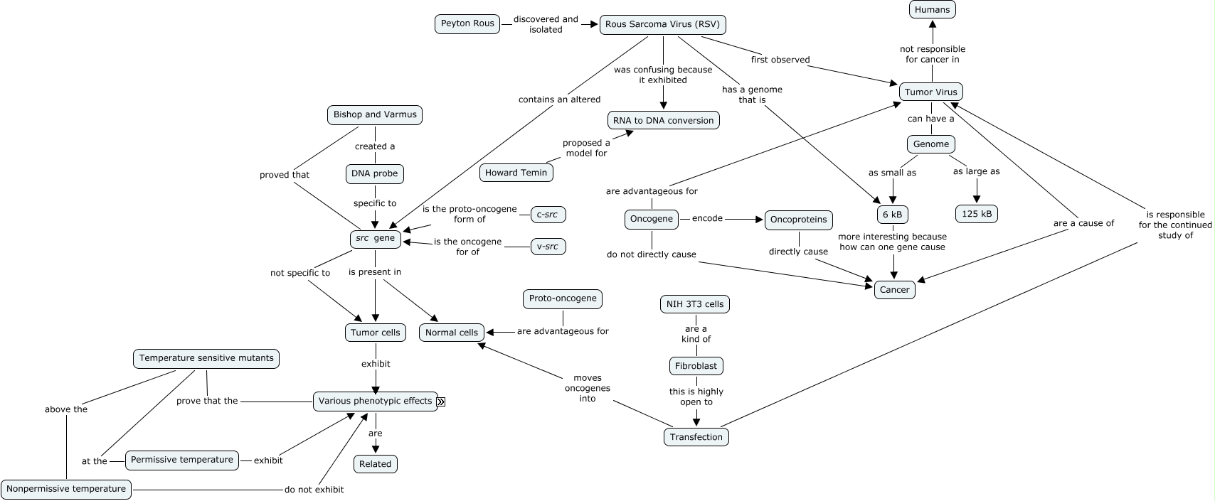 Chapter 3+4 discussion